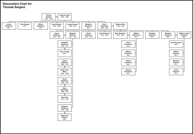 A new family tree? | Sarginson Family One Name Study
